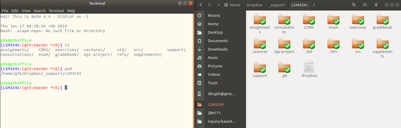 Genomic Data Analysis: Basics of the shell: Introducing the bash shell